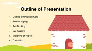 Piglet Processing.pptx