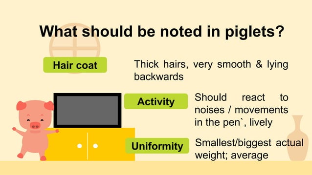 Piglet Processing.pptx