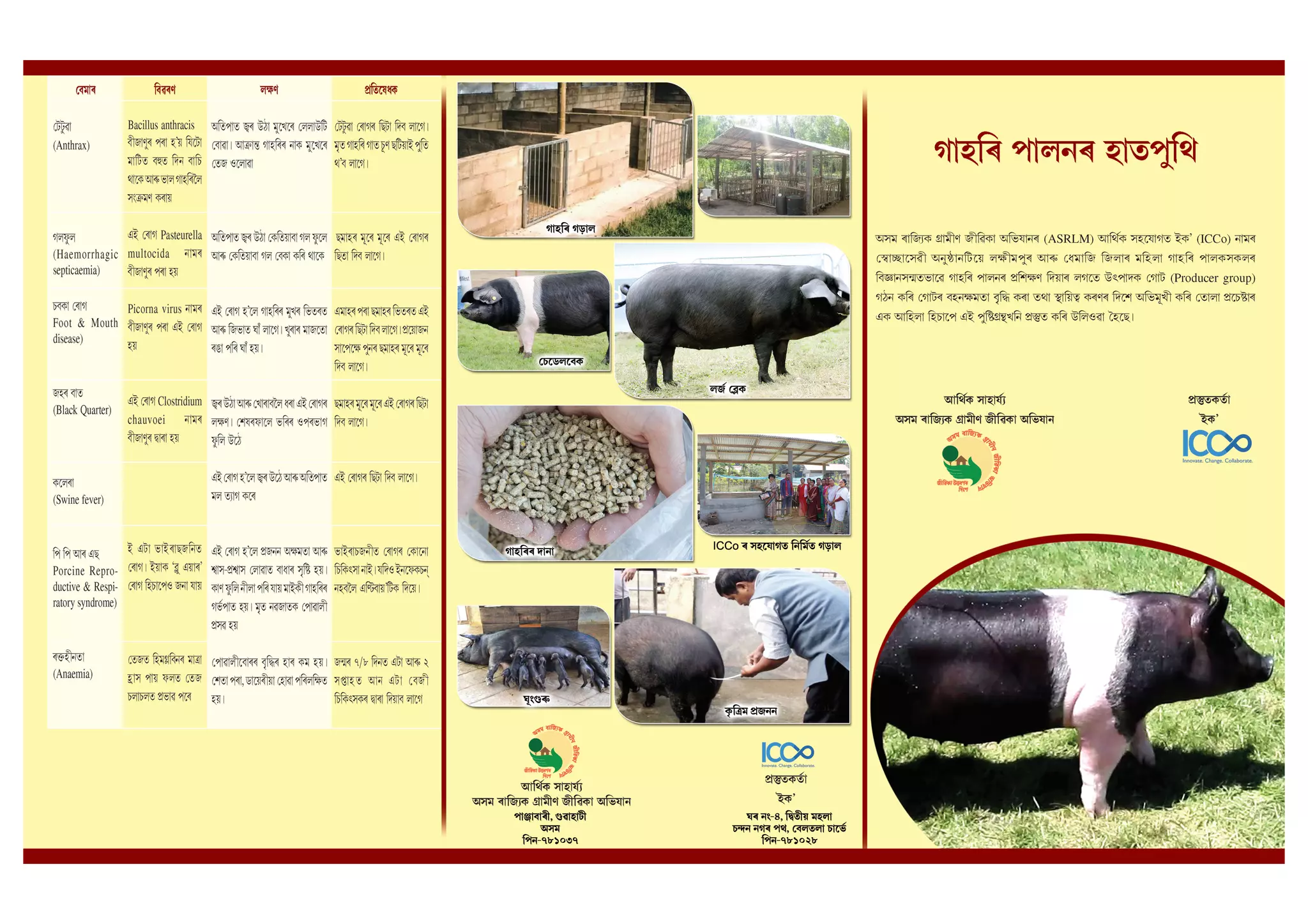 Handbook on scientific pig rearing in Assamese | PDF
