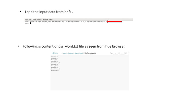 Pig MaxTemp PPT.pptx