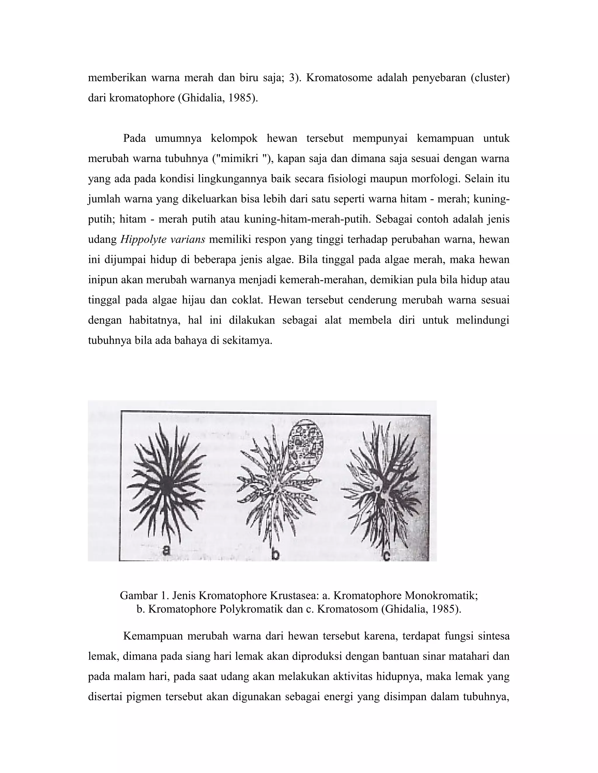 Pigmen pada krustasea | DOC