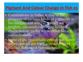 Pigment and colour change in fishes | PPTX