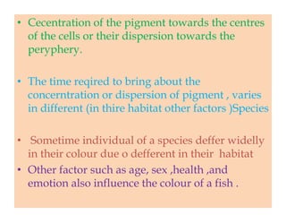 Pigment and colour change in fishes | PPTX