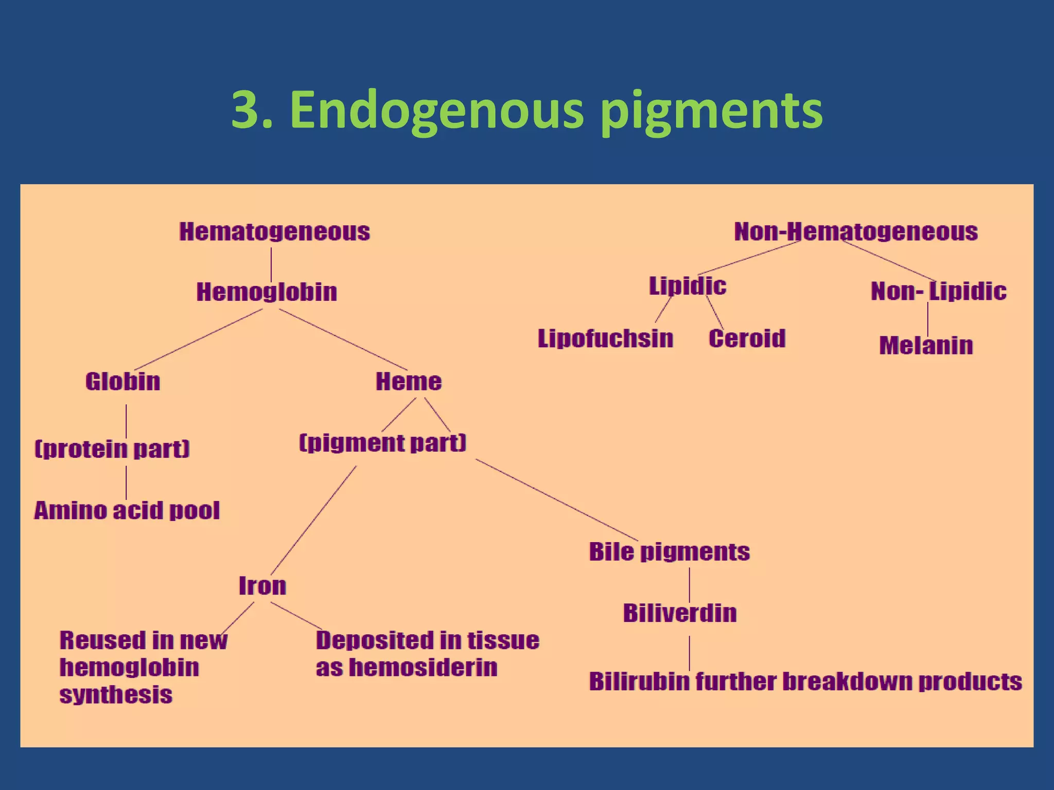 PIGMENT AND MINERALS.pptx
