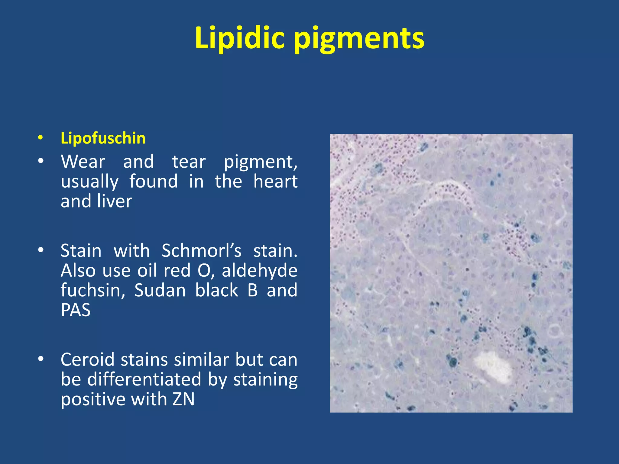 PIGMENT AND MINERALS.pptx