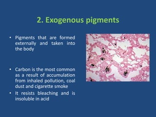 PIGMENT AND MINERALS.pptx
