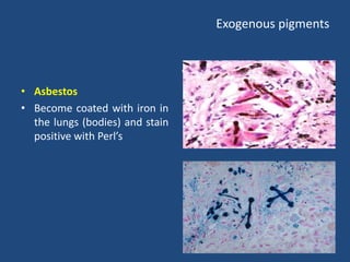 PIGMENT AND MINERALS.pptx