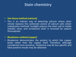 PIGMENT AND MINERALS.pptx