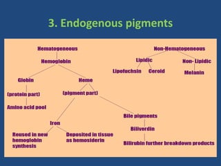 PIGMENT AND MINERALS.pptx