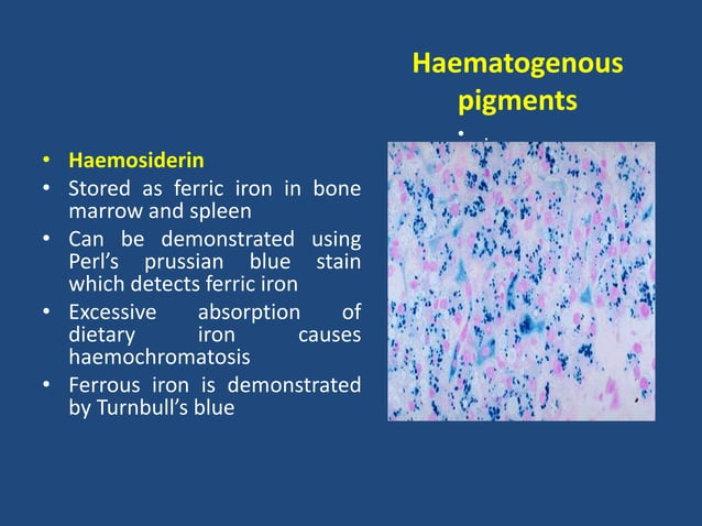 PIGMENT AND MINERALS.pptx | Skin and Dermatology | Diseases and Conditions