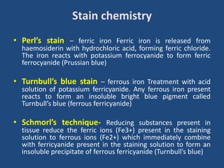 PIGMENT AND MINERALS.pptx