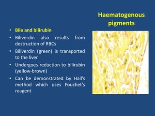 PIGMENT AND MINERALS.pptx