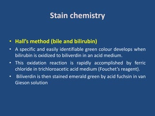 PIGMENT AND MINERALS.pptx