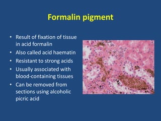 PIGMENT AND MINERALS.pptx
