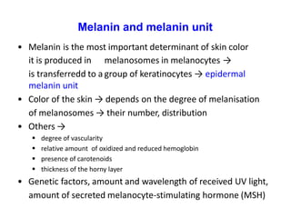 Skin Pigmentation disorders and its management .pptx