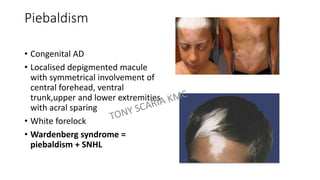 Pigmentation disorders of skin dermatology revision notes | PDF