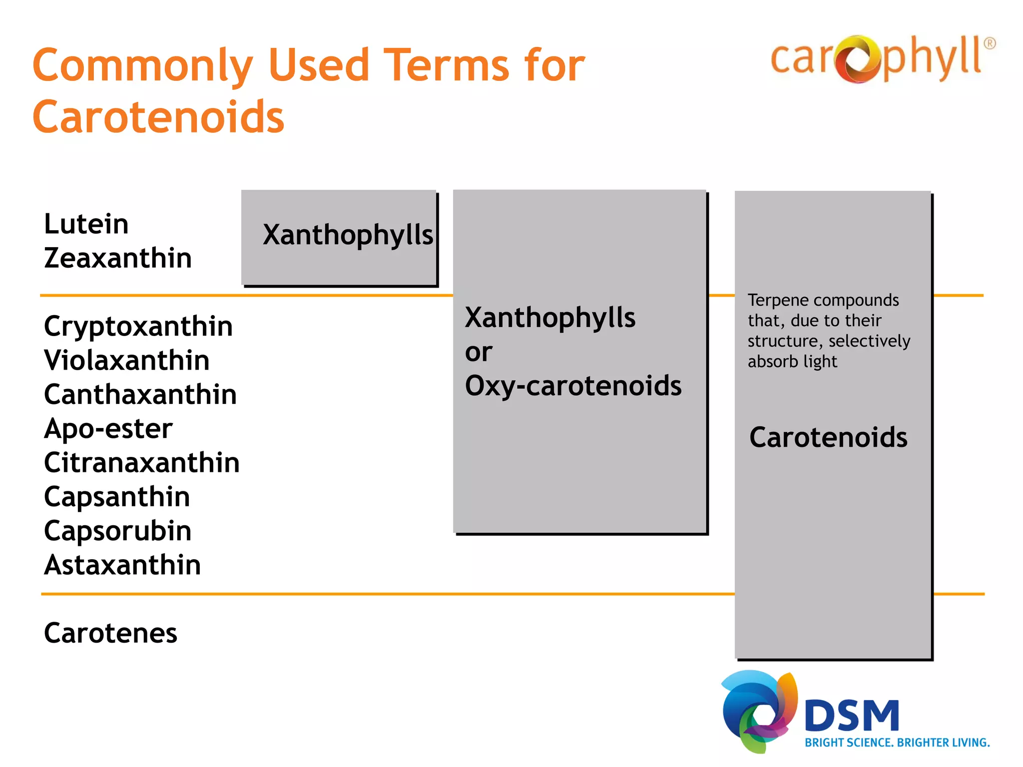 Chicken & Egg Pigmentation with CAROPHYLL® | PDF