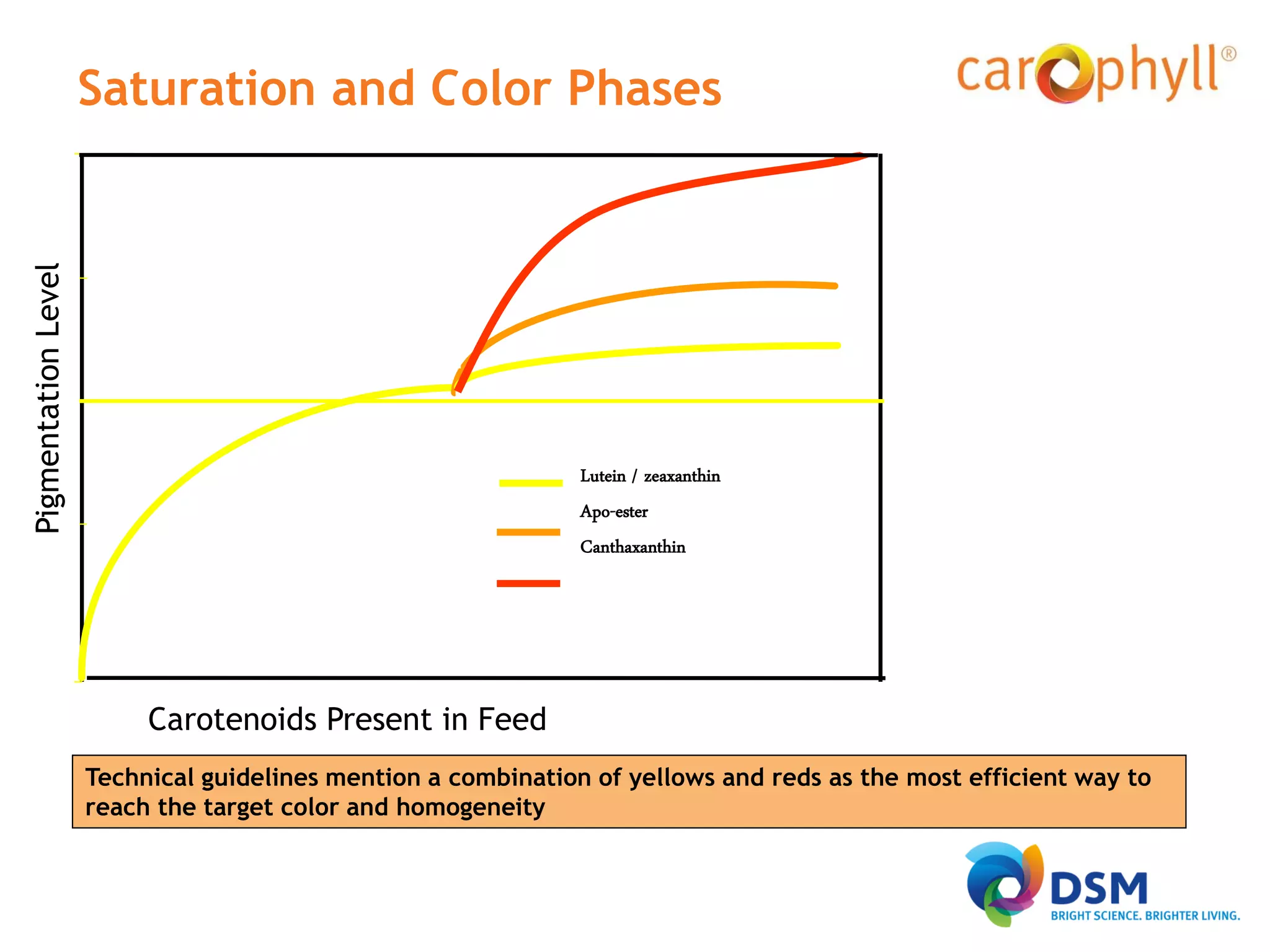 Chicken & Egg Pigmentation with CAROPHYLL® | PDF