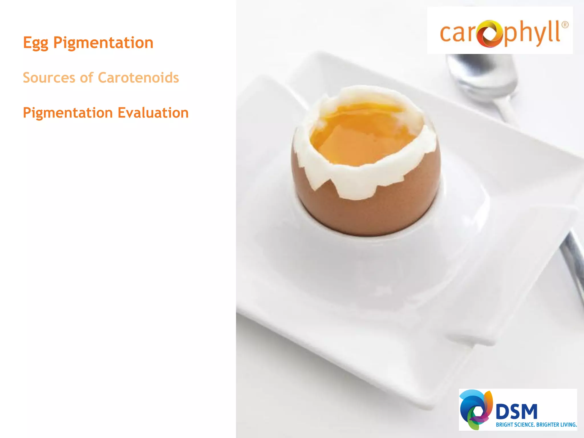 Chicken & Egg Pigmentation with CAROPHYLL® | PDF