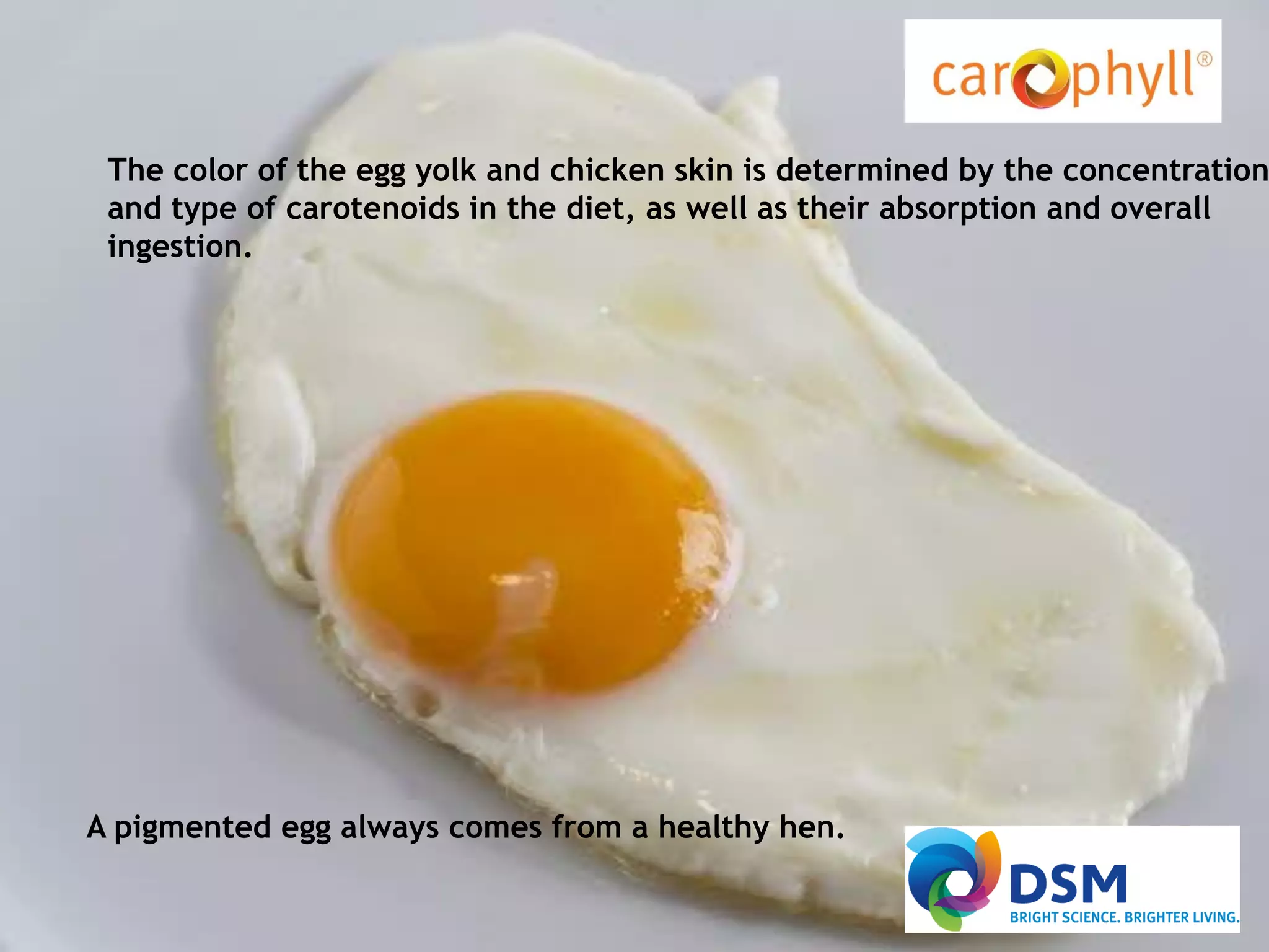 Chicken & Egg Pigmentation with CAROPHYLL® | PDF