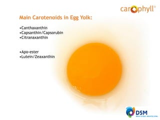 Chicken & Egg Pigmentation with CAROPHYLL® | PDF