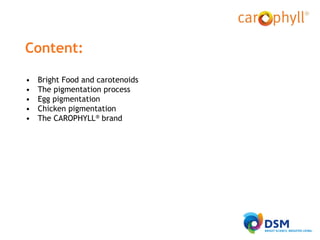 Chicken & Egg Pigmentation with CAROPHYLL® | PDF