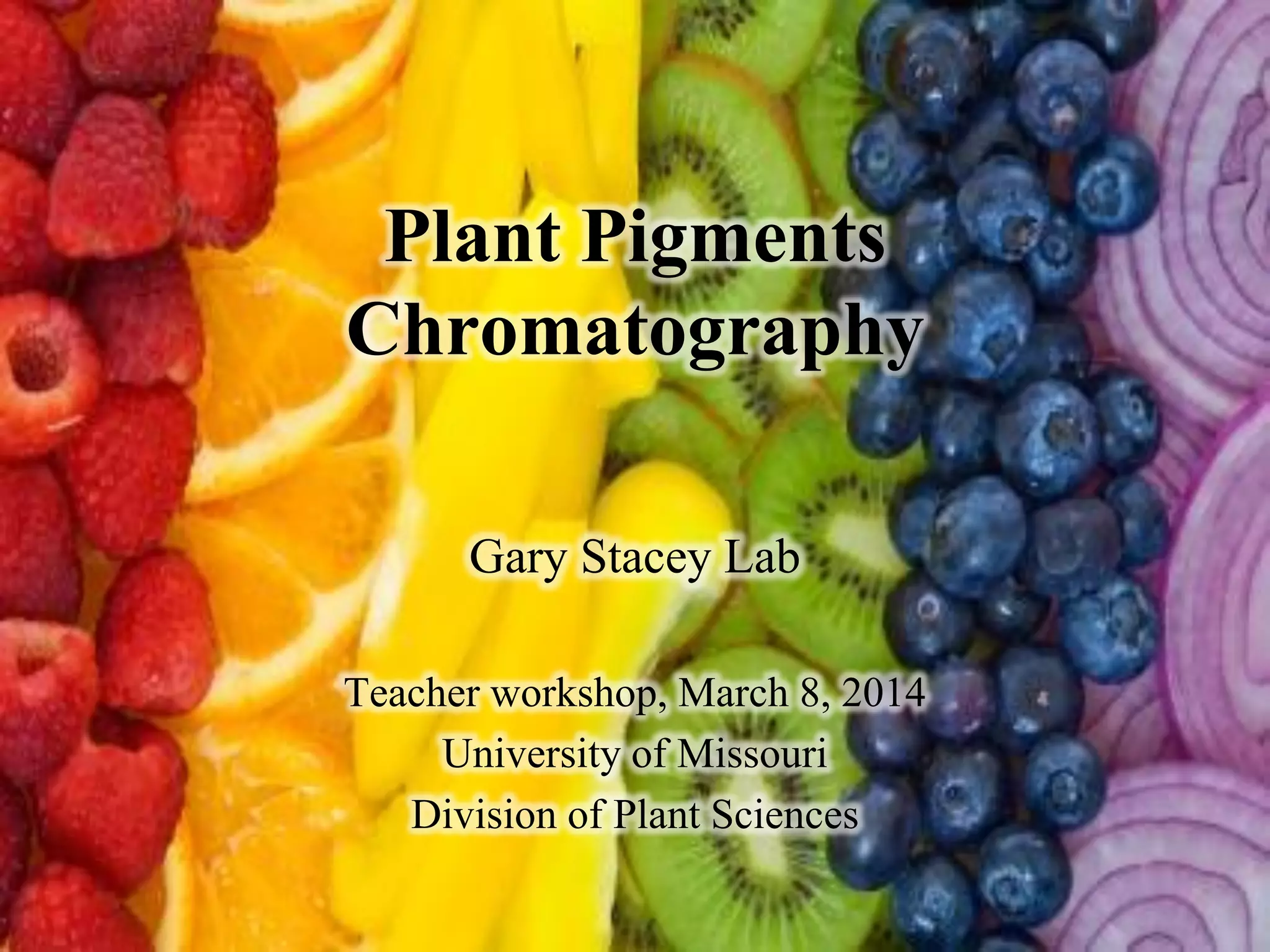 Pigmentchromatography | PDF