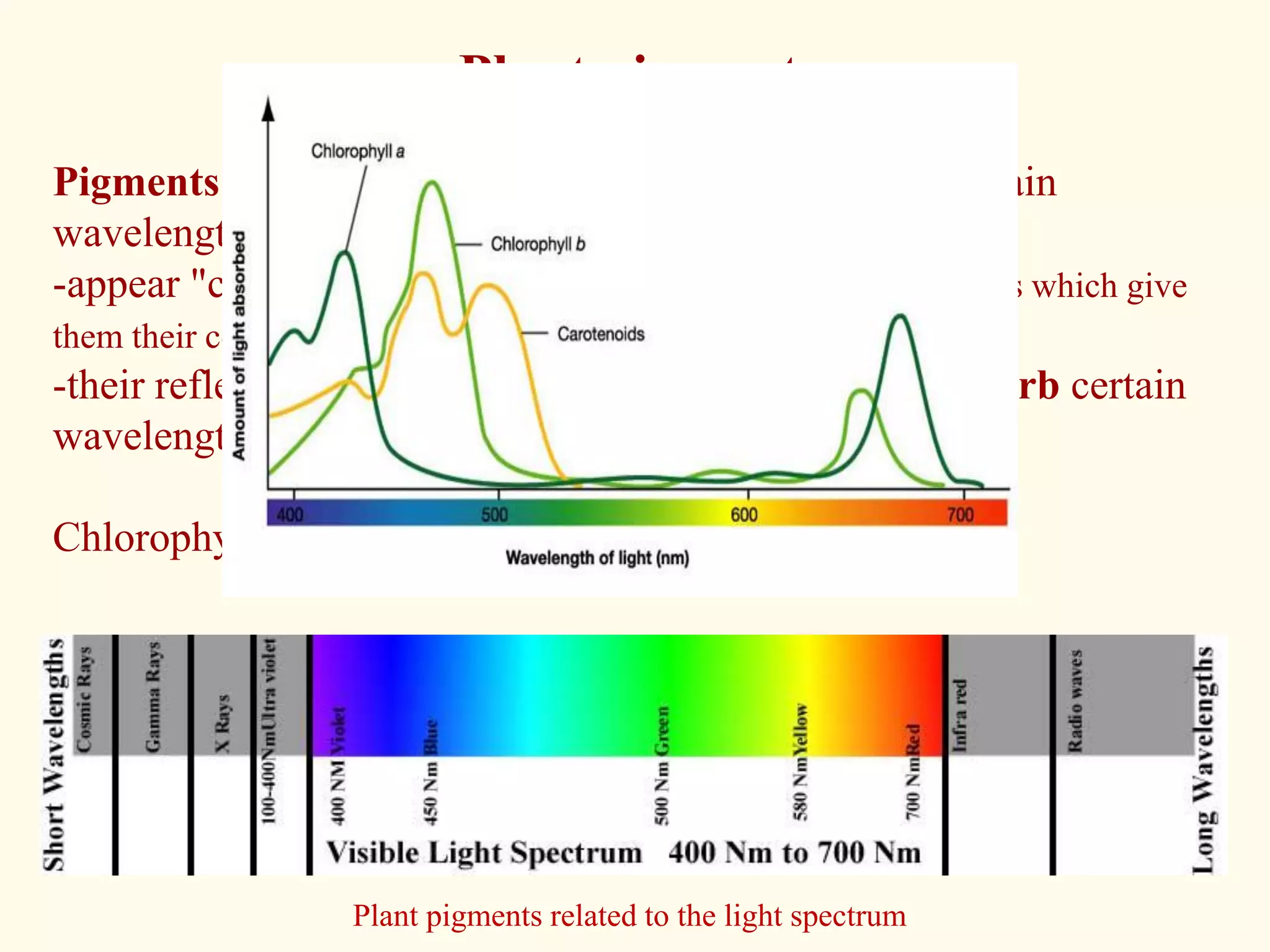 Pigmentchromatography | PDF | Chemistry | Science