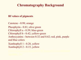 Pigmentchromatography | PDF | Chemistry | Science