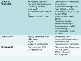 Pseudoexfoliation Transillumination Defects