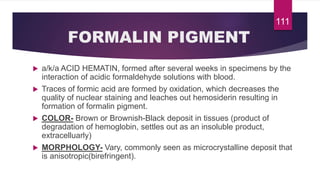 Pigment metabolism | PPT