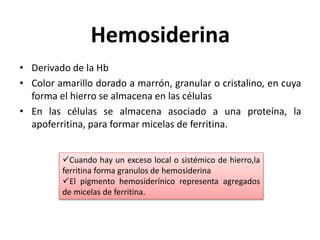 Pigmentos | PPTX | Blood Disorders | Diseases and Conditions
