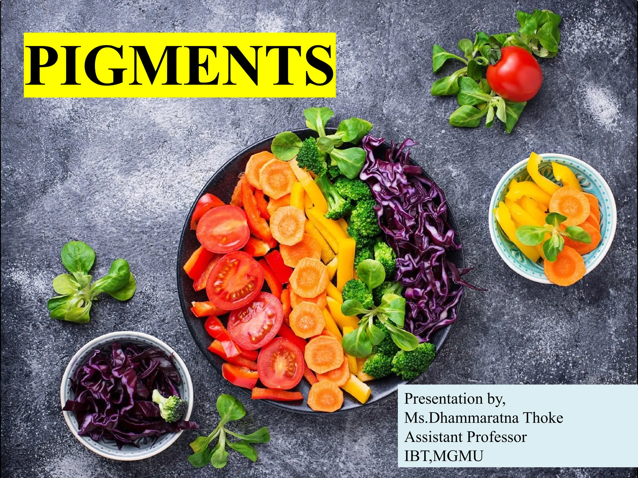 Pigments from Plants and Animal PPT.pptx