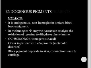 Pigments | PPT
