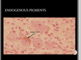 Pigments | PPT