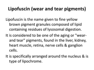 Pigments | PPTX
