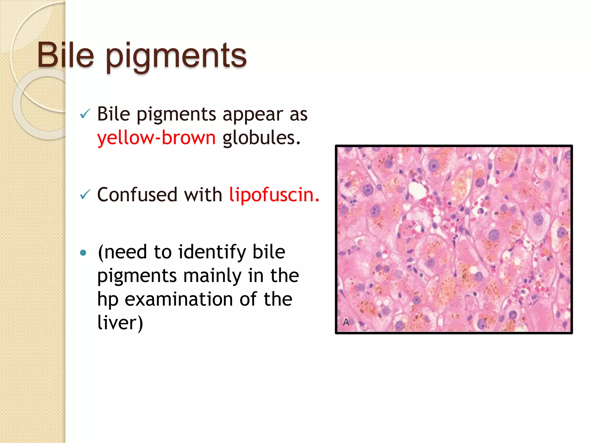 Pigments | PPTX