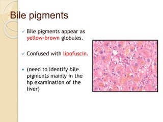 Pigments | PPTX