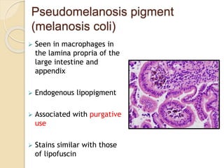Pigments | PPTX