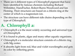 Pigments | PPTX