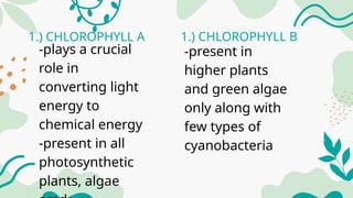 Important pigments used in the process of photosynthesis | PPT