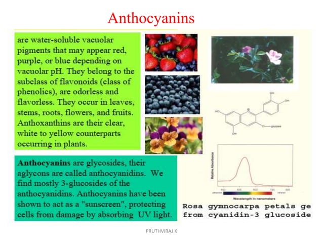Pigments and Colors: Natural Pigments or Plant Pigments | PPTX
