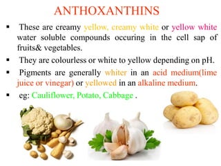 pigmentsflavoursppt-210116163837-1-24 (2).pdf