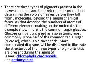 Pigments in plants | PPTX | Chemistry | Science