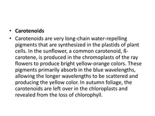 Pigments in plants | PPTX