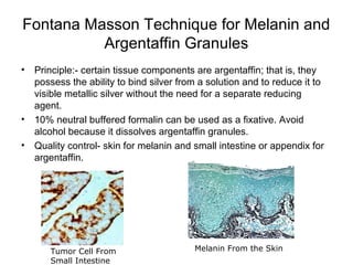 Pigments, minerals, and cytoplasmic granules | PPT