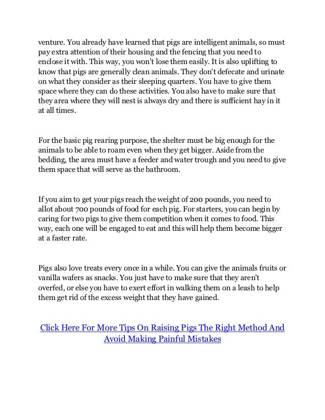 Pig Rearing Tips Simple Ideas About Rearing Pigs For Small Time Far pig-rearing-tips-simple-ideas-about-rearing-pigs-for-small-time-far