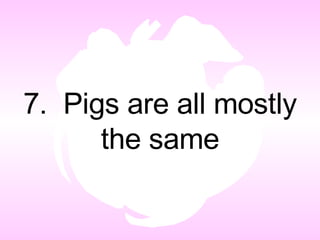 Pigs | PPT | Free download