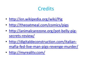Pigs Sample | PPTX