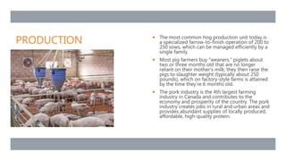 Pigs - Crop Assignment | PPTX
